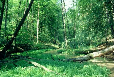 Augustdorf im Land des Hermann | Teutoburger Wald