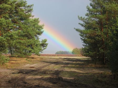 Augustdorf im Land des Hermann | Teutoburger Wald