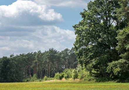 Verl im Erfolgskreis Gütersloh | Teutoburger Wald