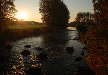 Harsewinkel im Erfolgskreis Gütersloh | Teutoburger Wald