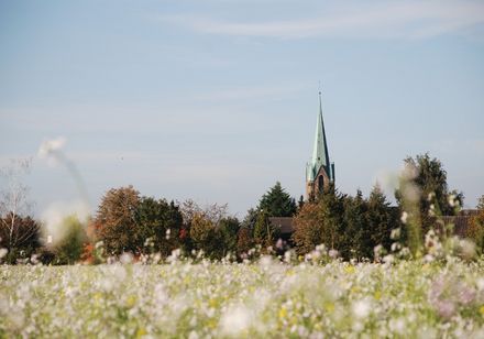 Harsewinkel im Erfolgskreis Gütersloh | Teutoburger Wald