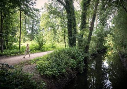 Verl im Erfolgskreis Gütersloh | Teutoburger Wald